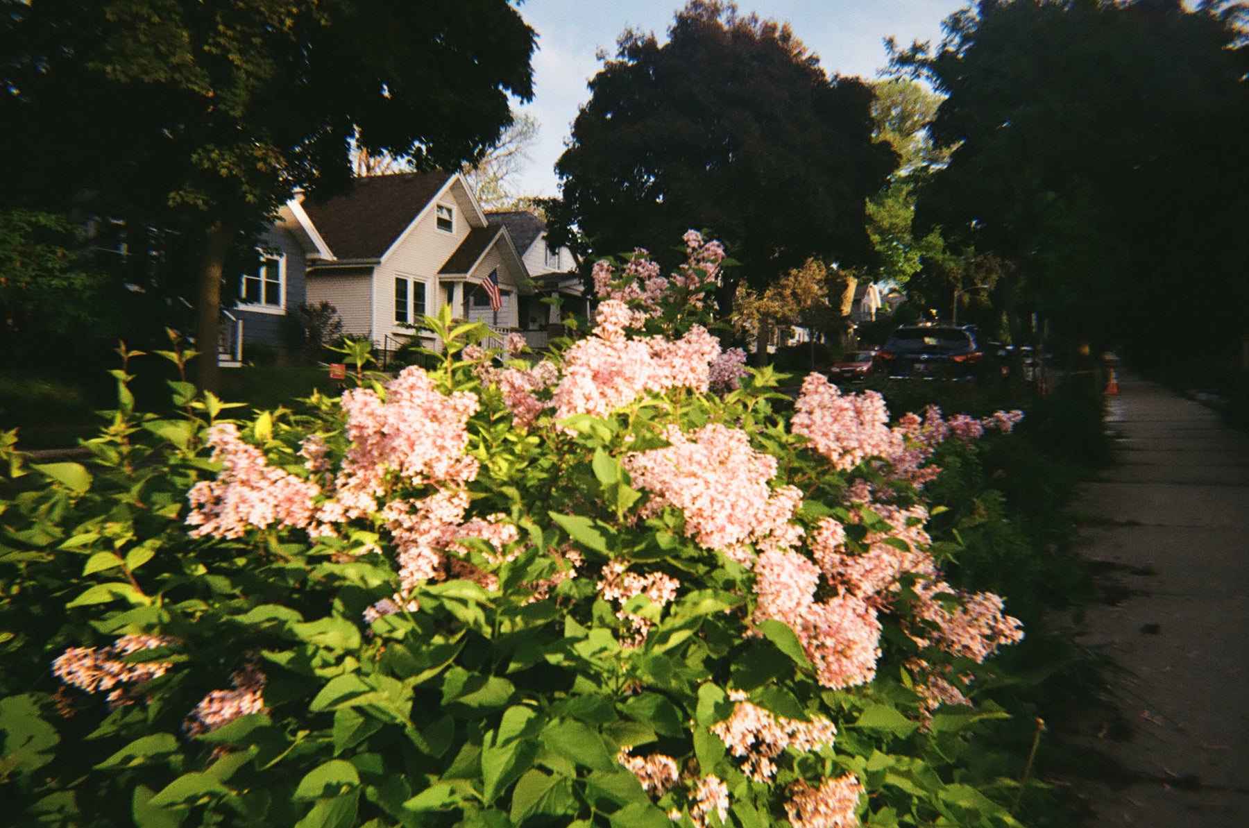 Hello Kitty "Strawberry Kawaii" 35mm Film Camera