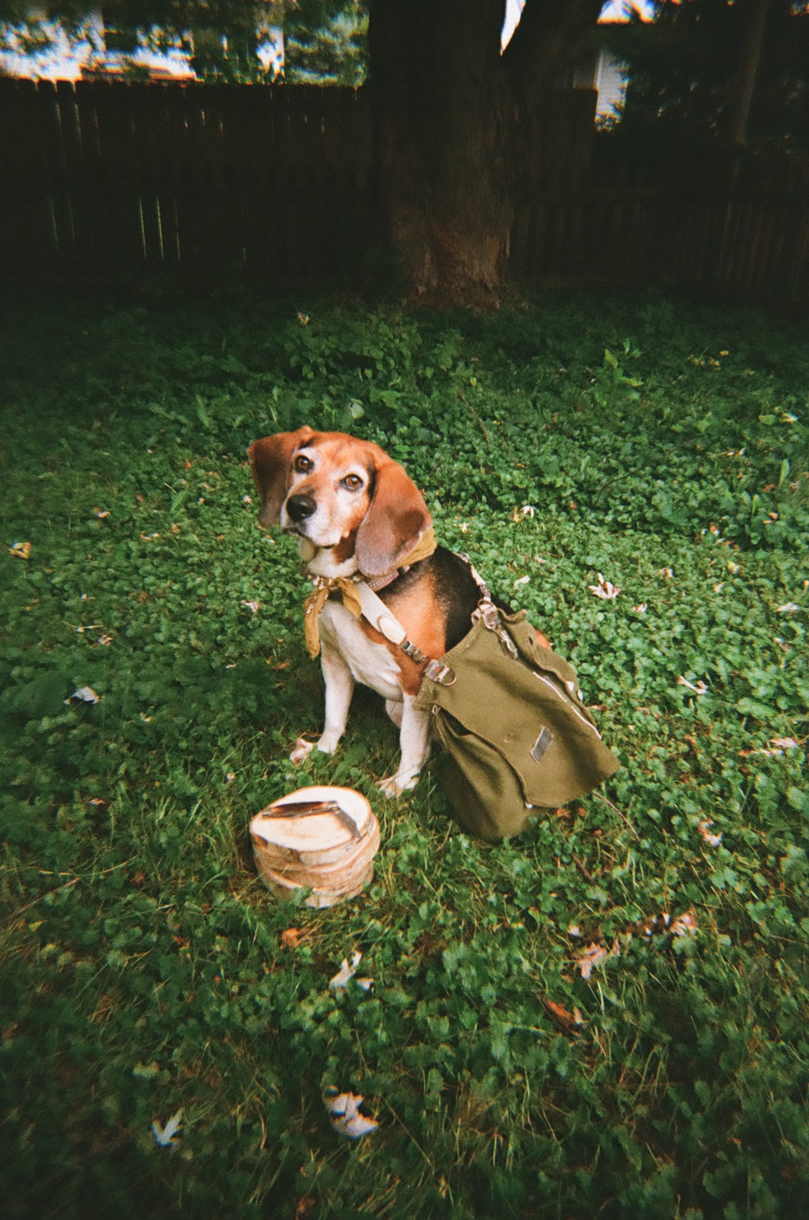 Peanuts Beagle Scouts 35mm Film Camera