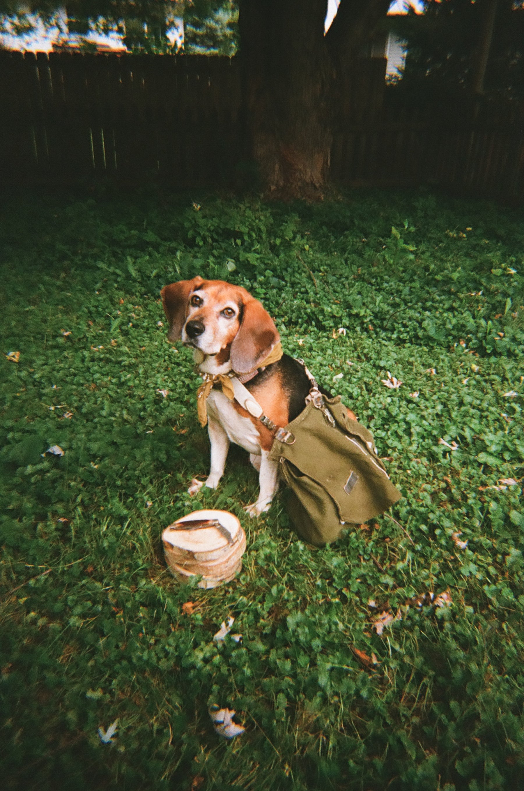 Peanuts Beagle Scouts 35mm Film Camera