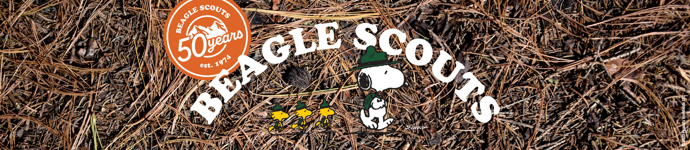 Peanuts Beagle Scouts Collection