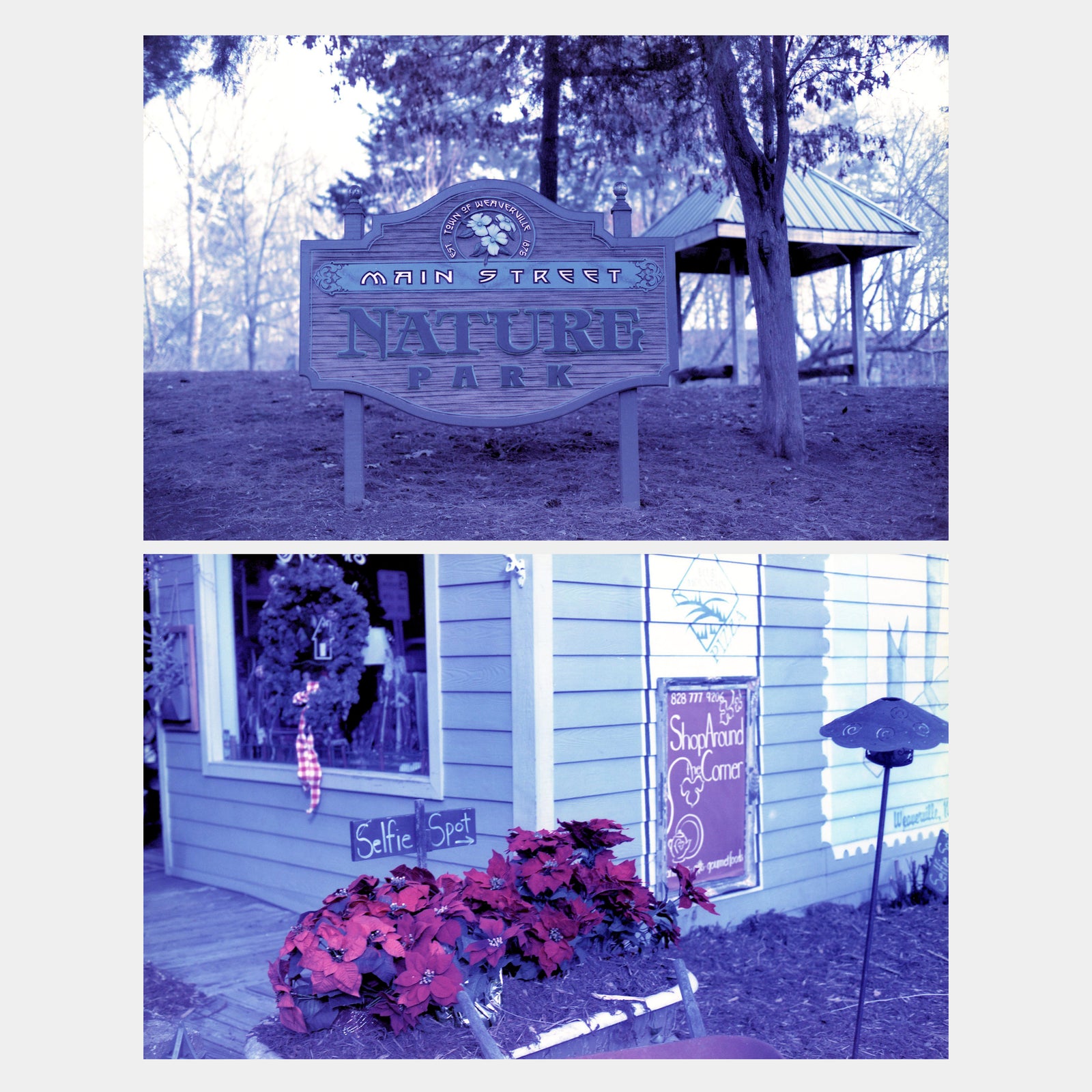 Film Photography Project Blue Ultra Color 35mm Film (24 Exposures)