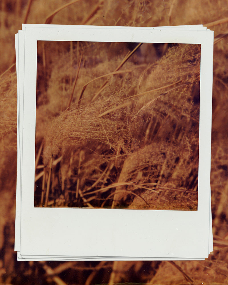 RETROSPEKT - Reviving Retro Tech for a New Generation