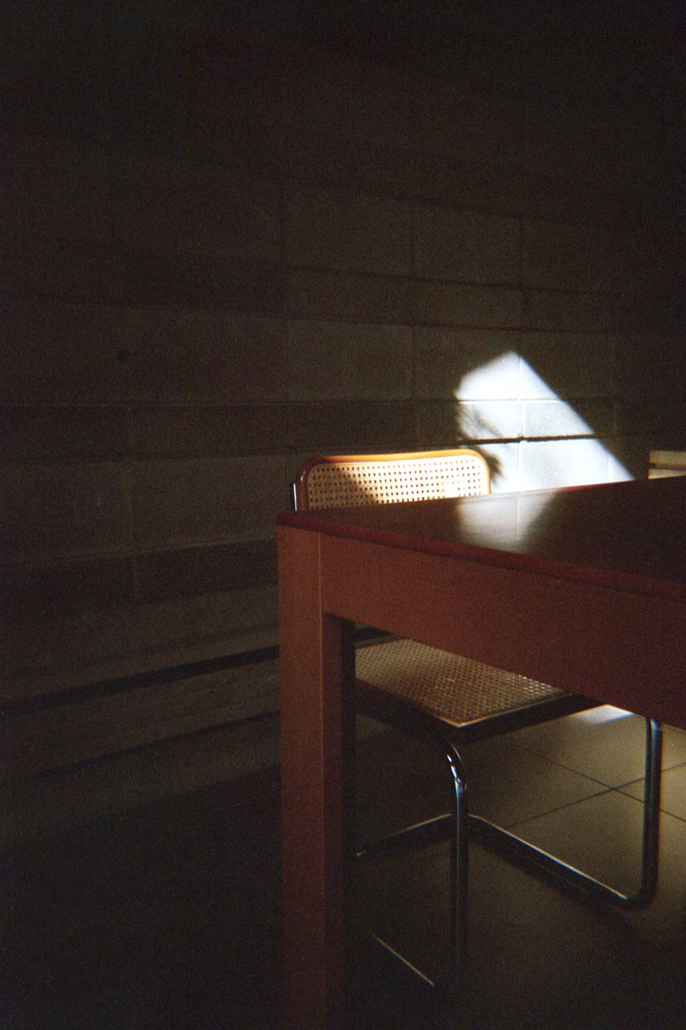 Miffy 35mm Film Camera
