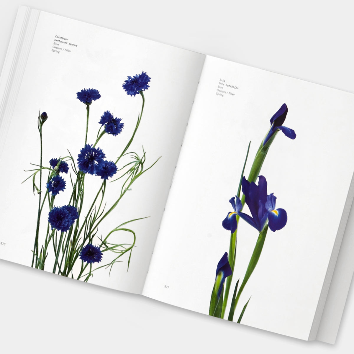 Flower Color Guide Phaidon Book