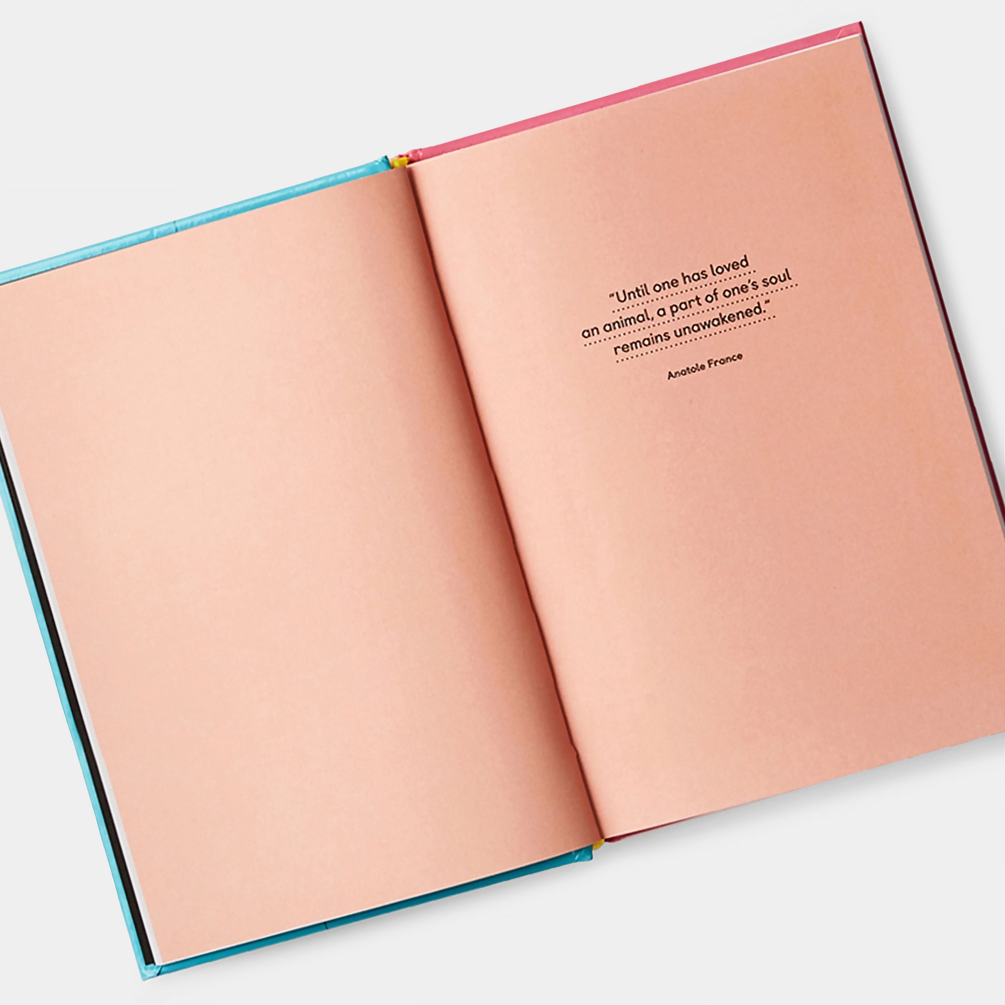 Pet-tecture: Design for Pets Phaidon Book