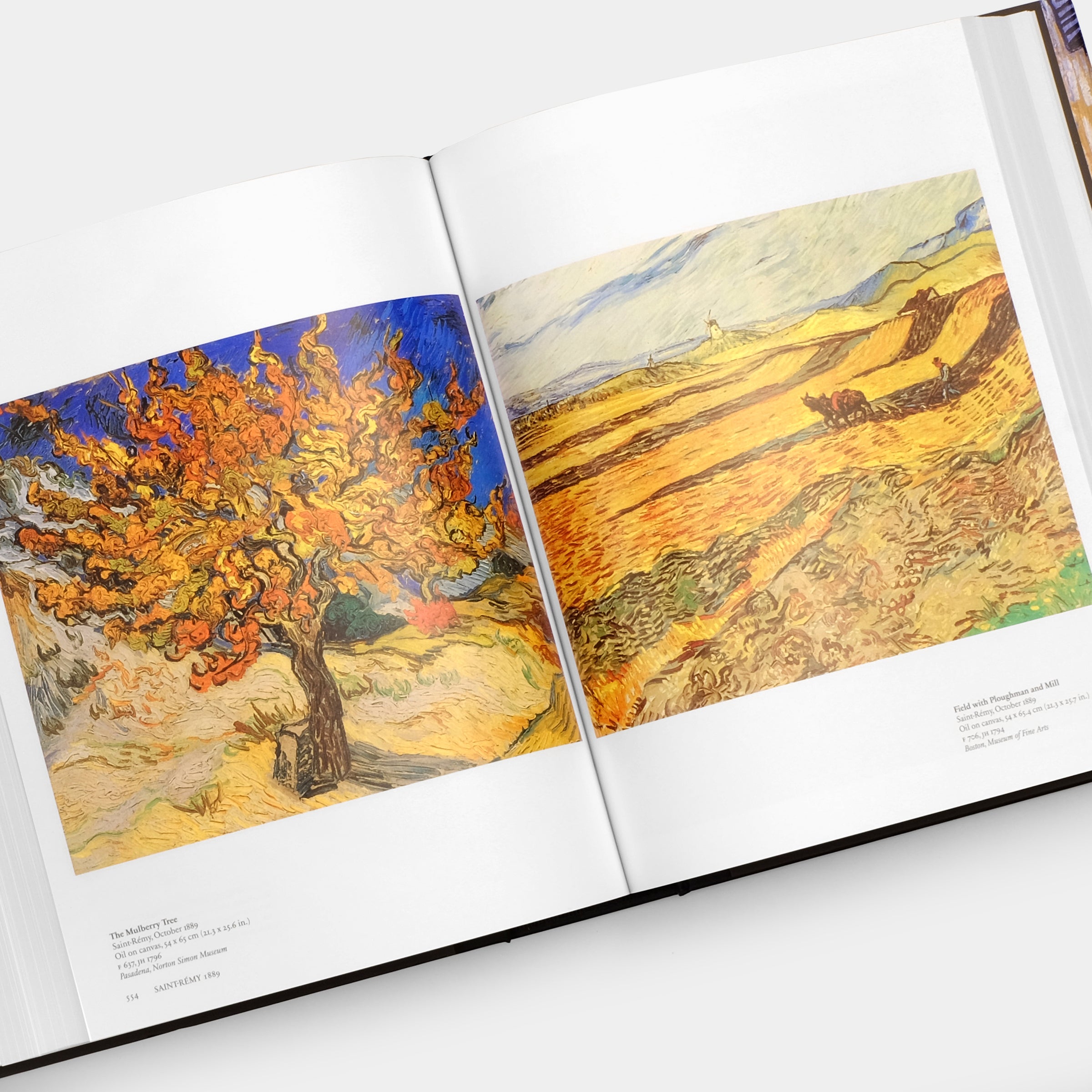 Van Gogh: The Complete Paintings Taschen Book