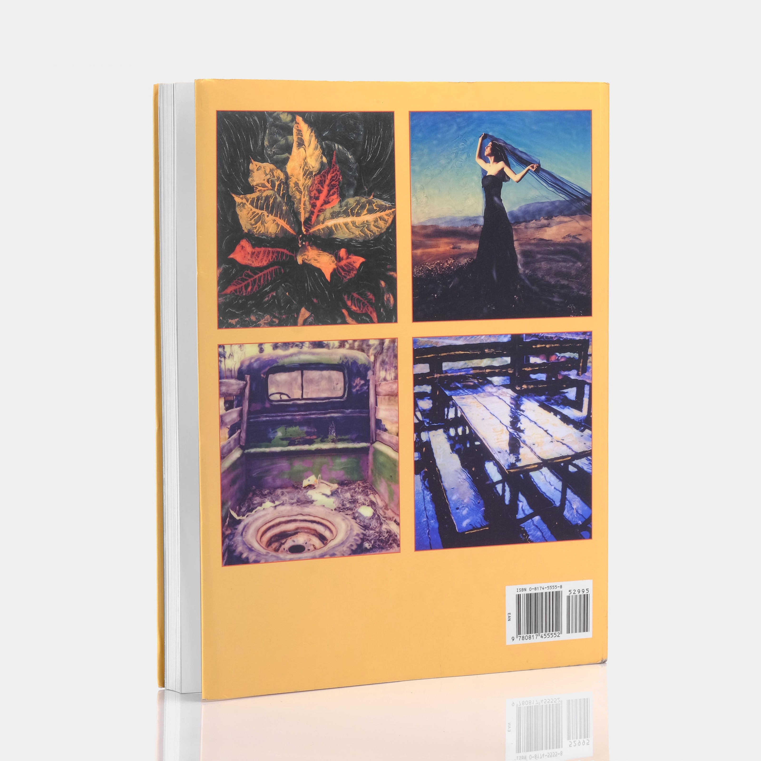 Polaroid Manipulations: A Complete Visual Guide to Creating SX-70, Tra